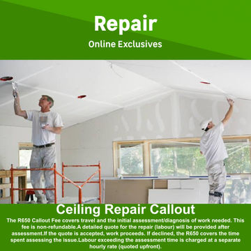 Ceiling Repair Callout by Damlane Tech