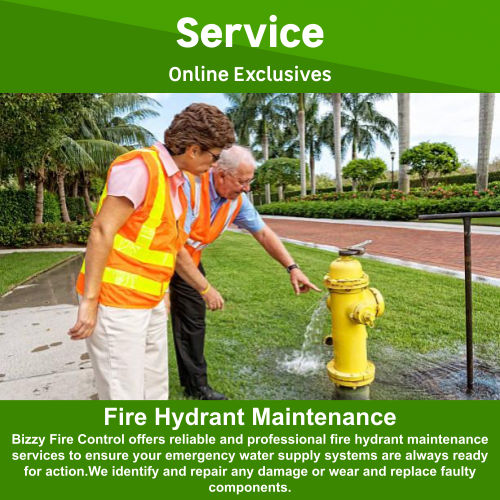 Fire Hydrant Maintenance by Bizzy Fire Control | Leroy Merlin South Africa