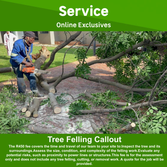 Tree Felling Callout fee by Freeman TM | Leroy Merlin South Africa