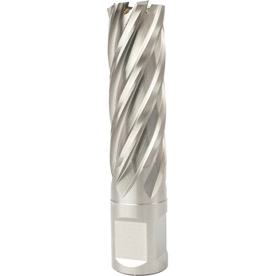 Annular Hole Cutter Hss 19 X 55Mm Broach Slugger Bit | Leroy Merlin ...