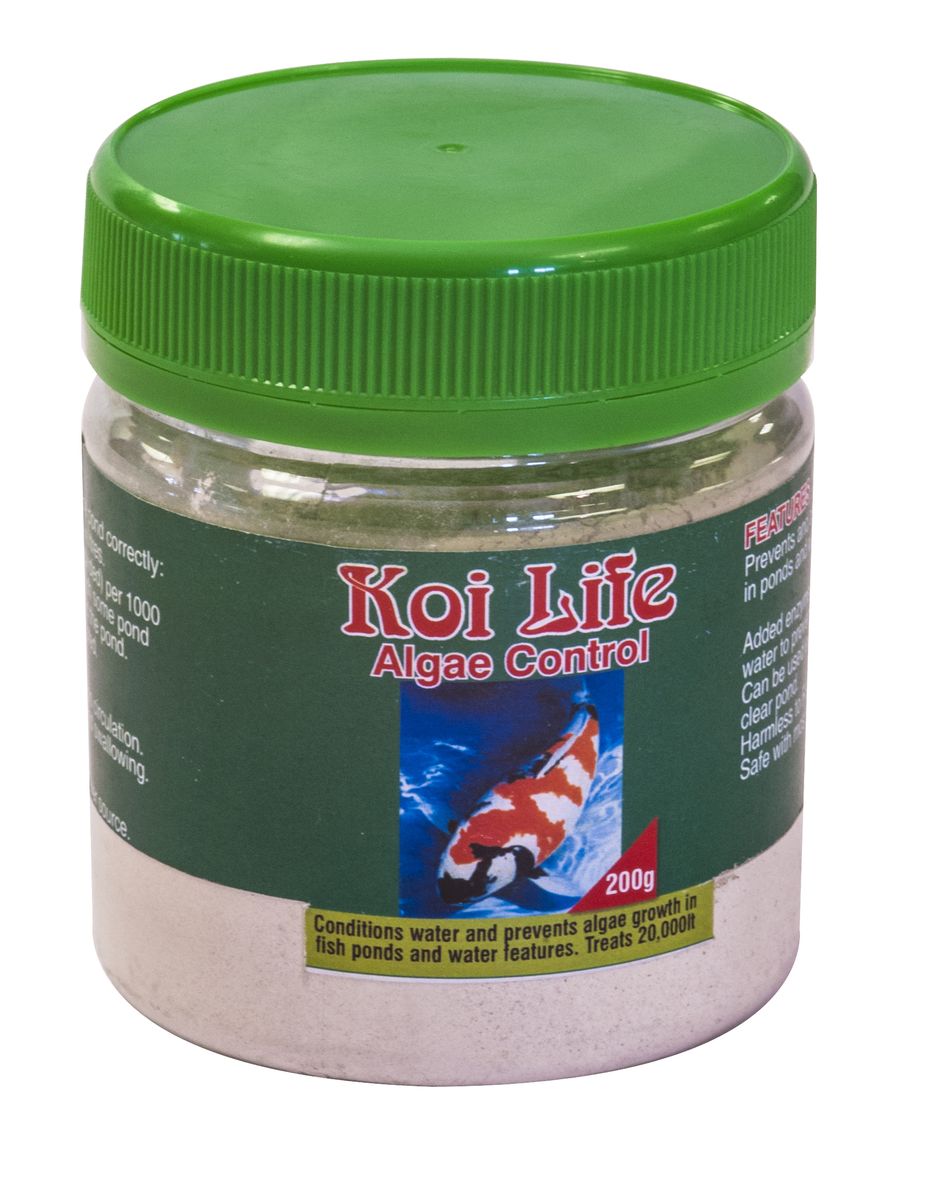 Waterhouse Pumps Algae Control - 200g | LEROY MERLIN South Africa