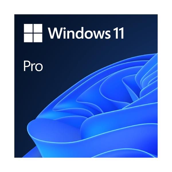 Microsoft Windows 11 Professional Dvd Single User License, Dsp , No ...