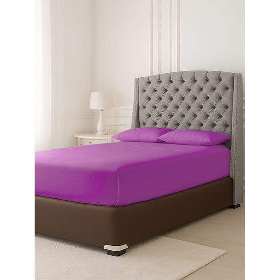 Simply Sleep - Everyday Collection Fitted Sheet - 90GSM - Charisma ...