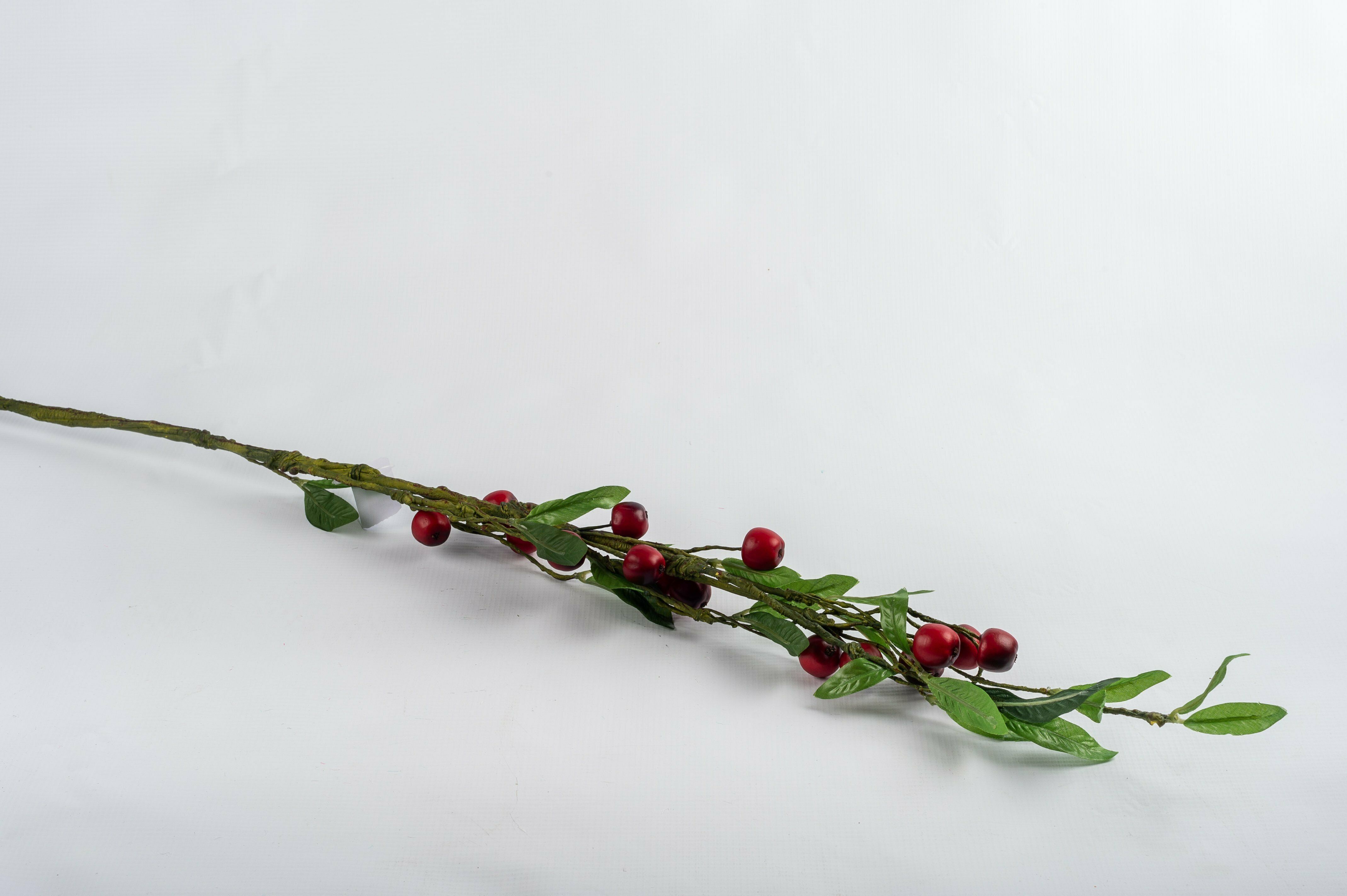 Mini Apples 90Cm Stem | Leroy Merlin South Africa