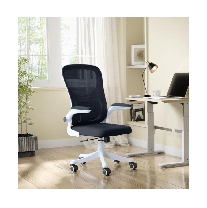 WOODLY ErgoPro Office Chair