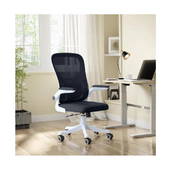 WOODLY ErgoPro Office Chair