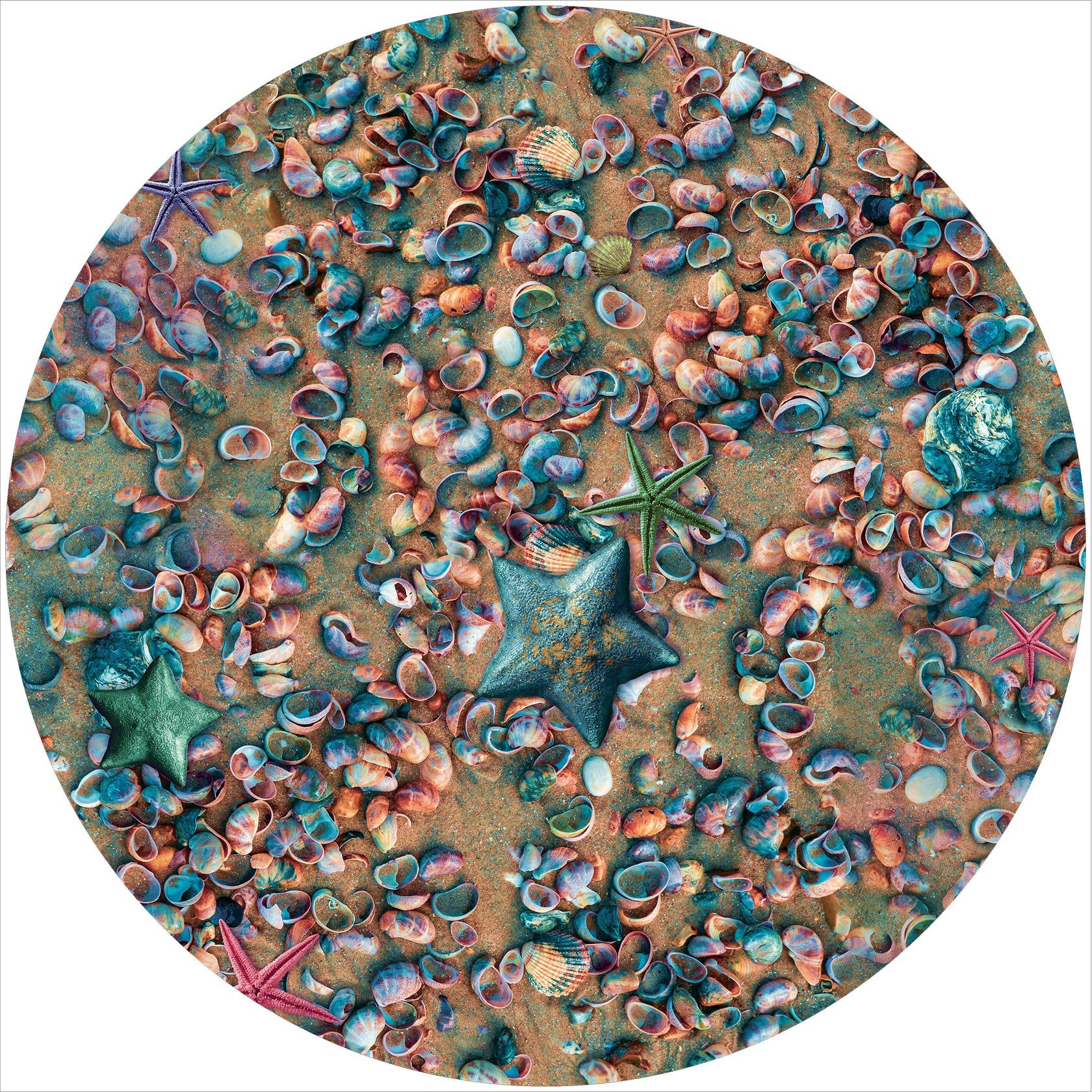 Beach Shells Round Tablecloth | LEROY MERLIN South Africa